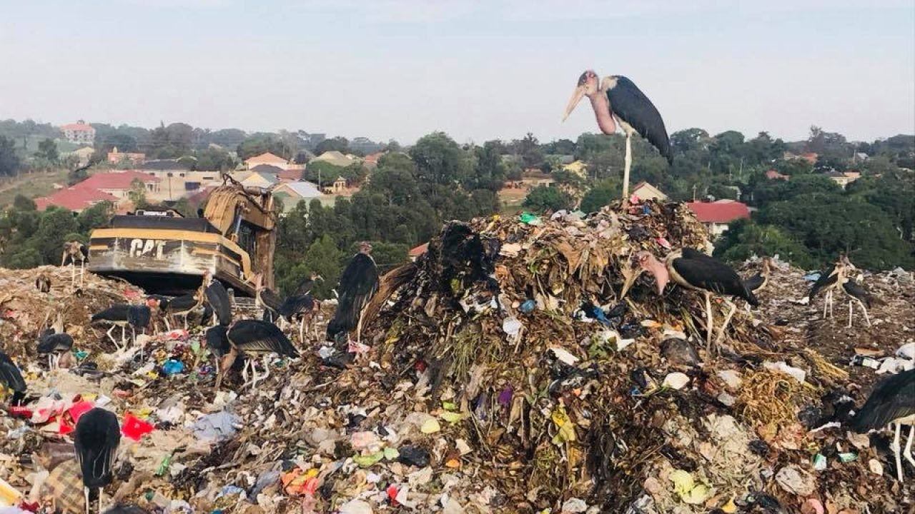 Waste Management in Kampala; an Urgent Call for Attention – Green ...